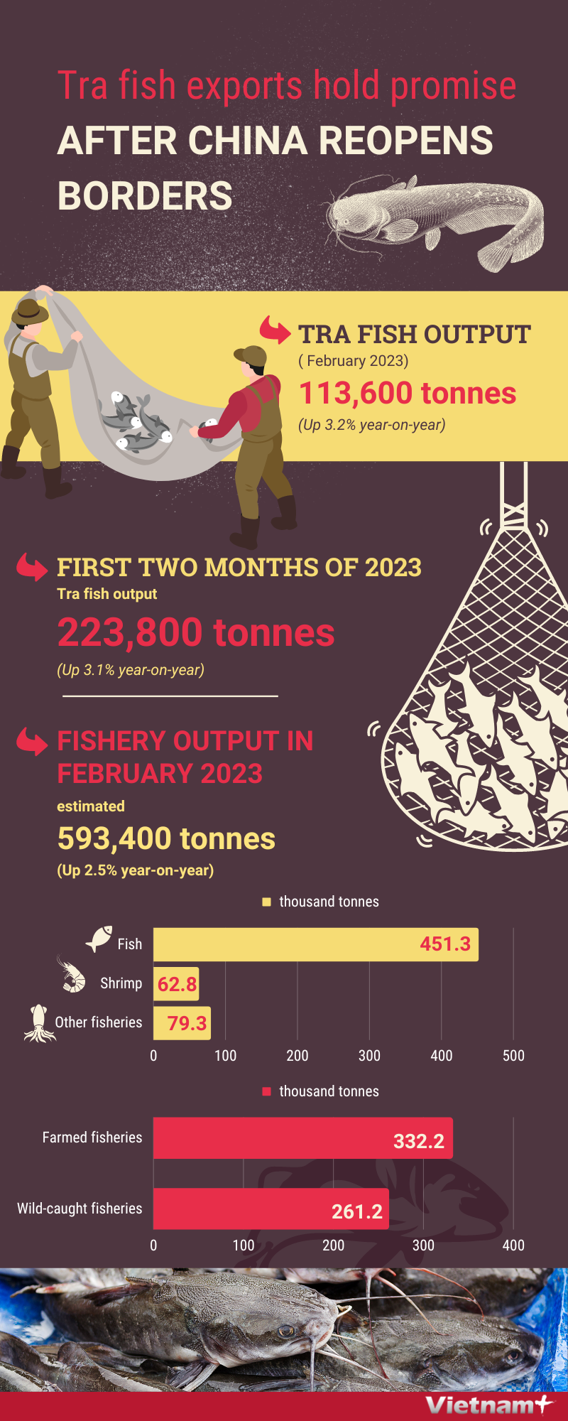 Tra fish exports hold promise after China reopens borders