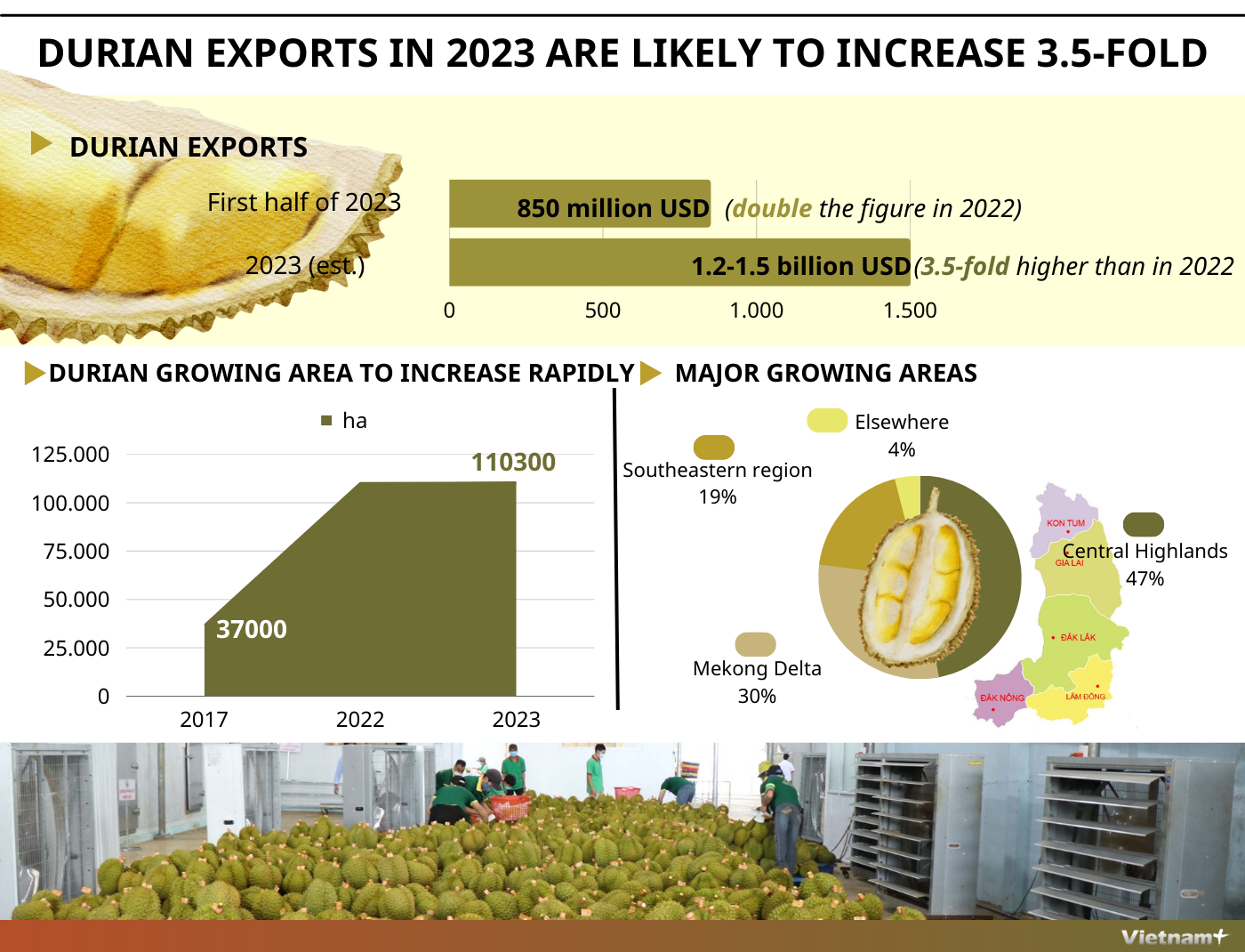 Durian exports forecast to boom