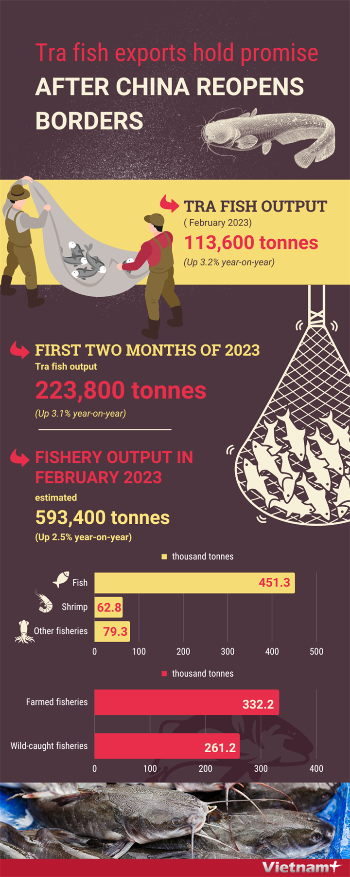 Tra fish exports hold promise after China reopens borders